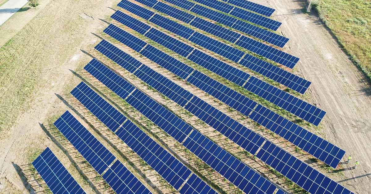 REAP Helps Ag and Rural Businesses Go Solar